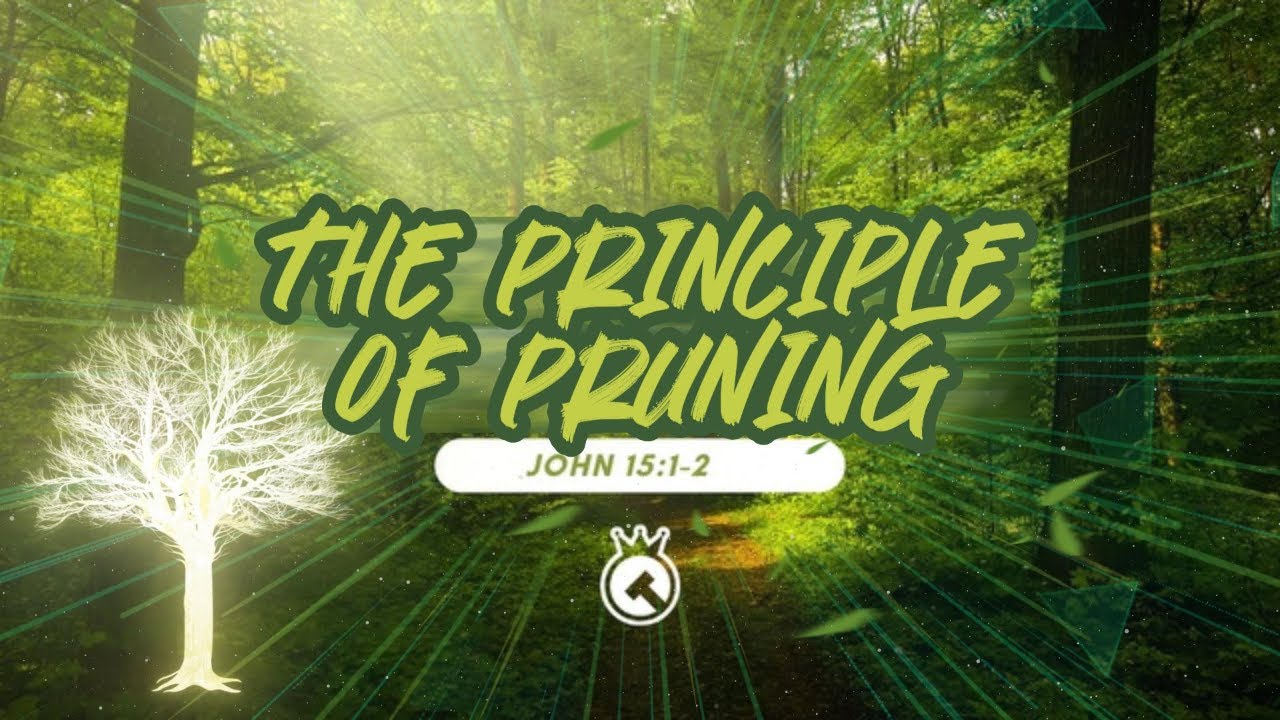 The Principle of Pruning // Pastor Scott Free - YouTube