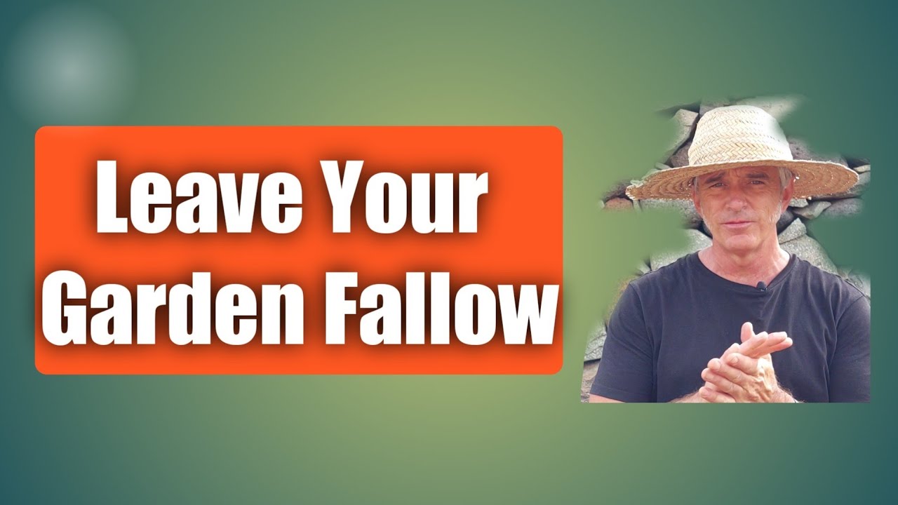 Cover Crop Fallow Fertilizer Style: (I'll let you know how it worked ...