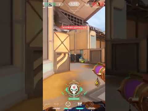 Radiant Buddy Diff (Valorant) - YouTube