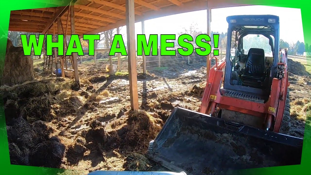 CLEANING OUT THE COW PEN! - YouTube