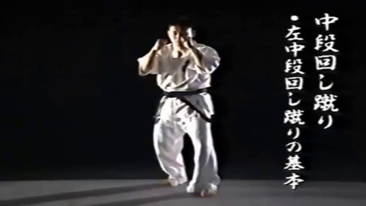 kyokushin fight techniques 10 YouTube - YouTube
