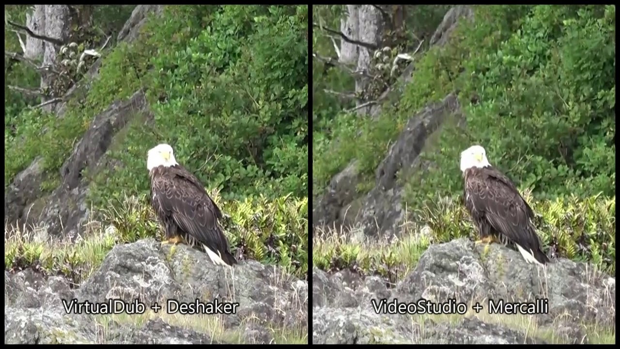 Stabilize video comparison VideoStudio, PowerDirector, VirtualDub ...
