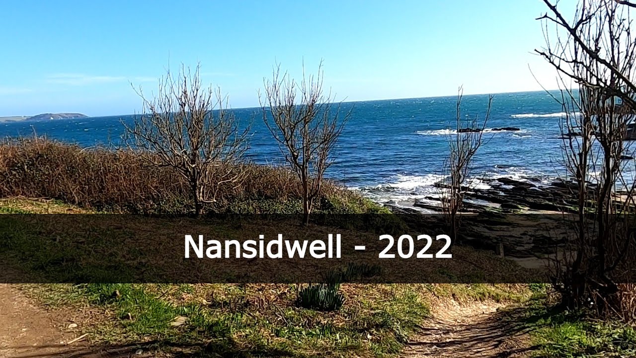 20220226 Nansidwell - YouTube