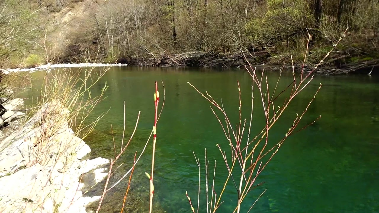 Il Fiume Taro - YouTube
