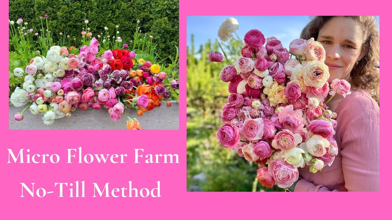 Micro Flower Farm and No-till farming with Galena Berkompas - YouTube