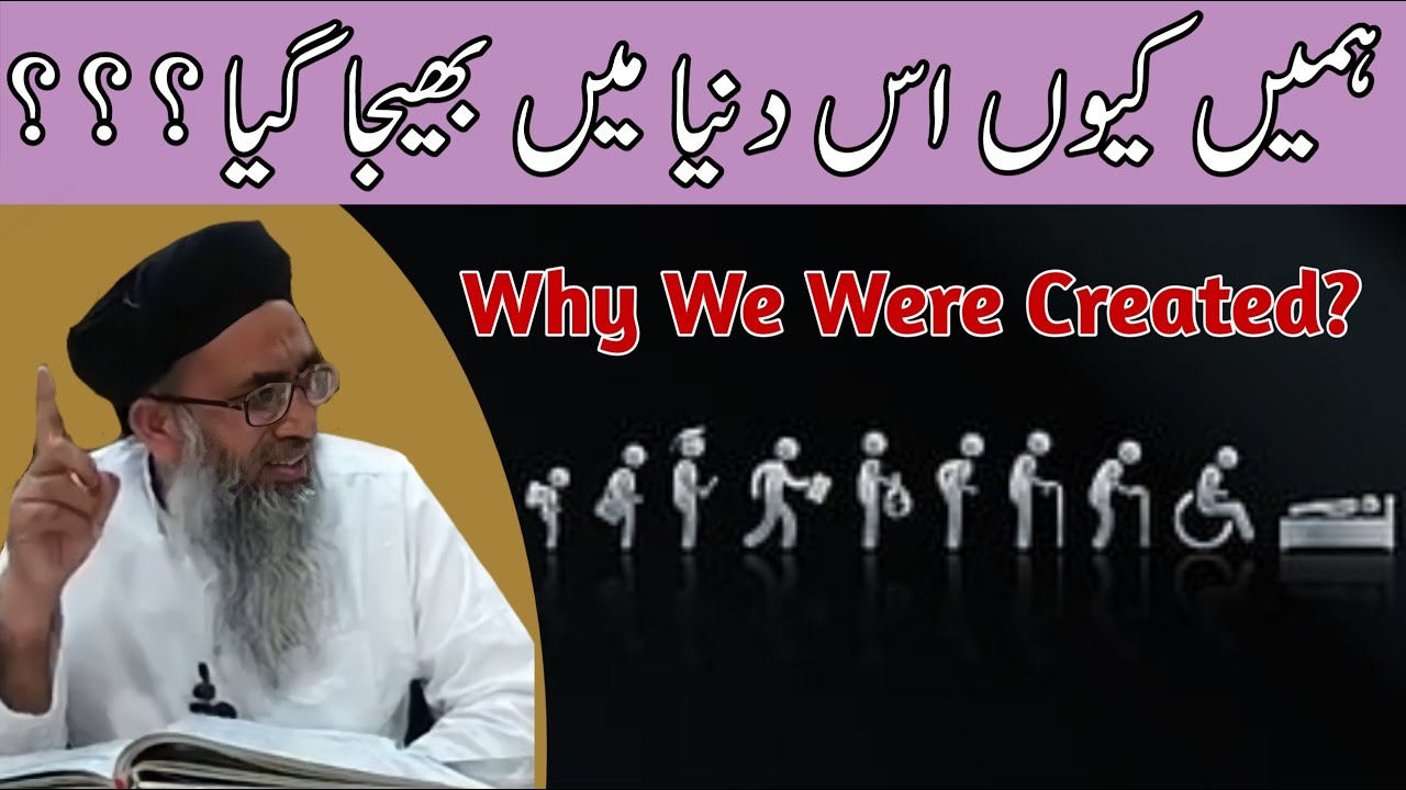 Why We Were Created? - YouTube