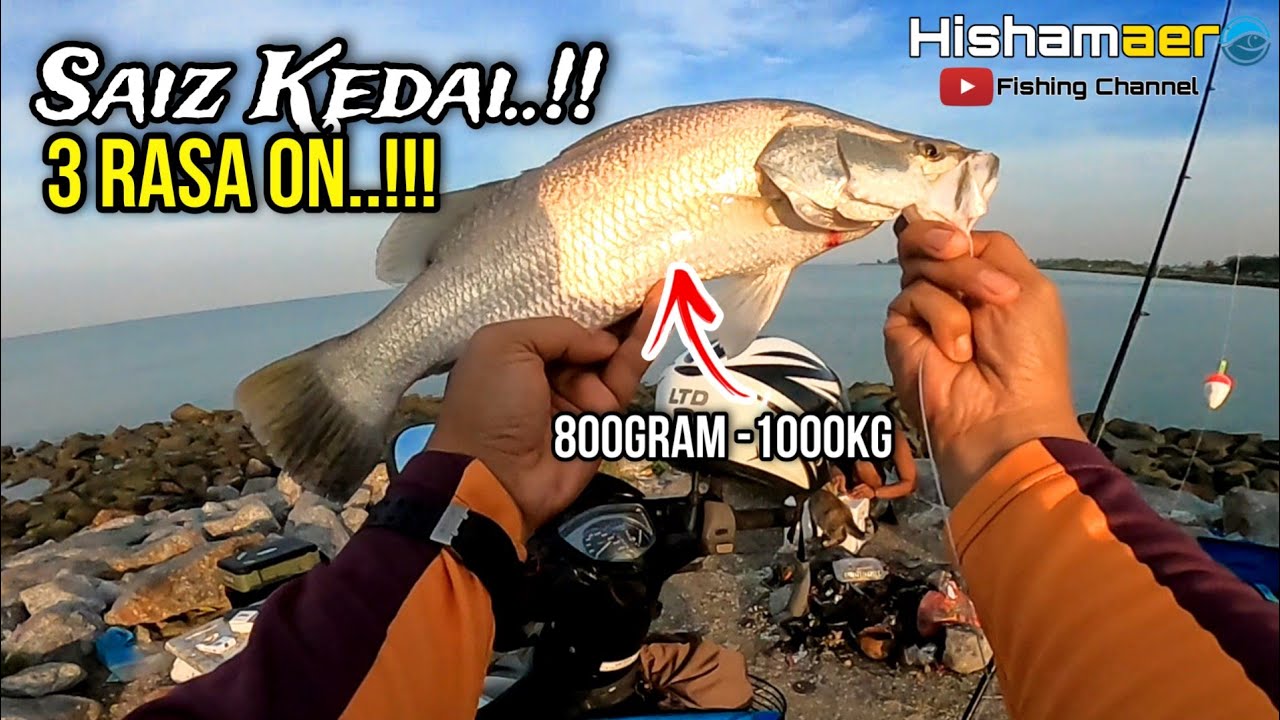 💢 SIAKAP SAIZ HIDANGAN‼️ | LAUK MASAK 3 RASA - MANCING SIAKAP - YouTube