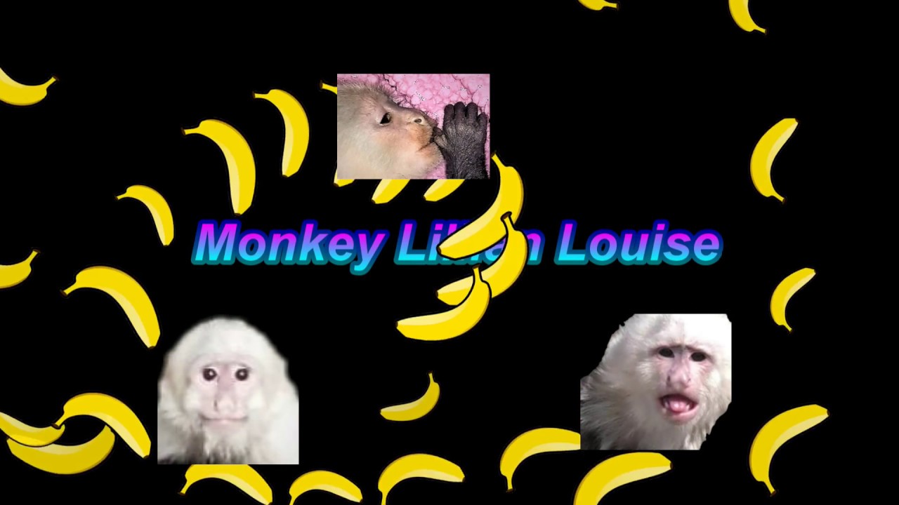 Trailer Monkey Lillian Louise LL(#144) - YouTube
