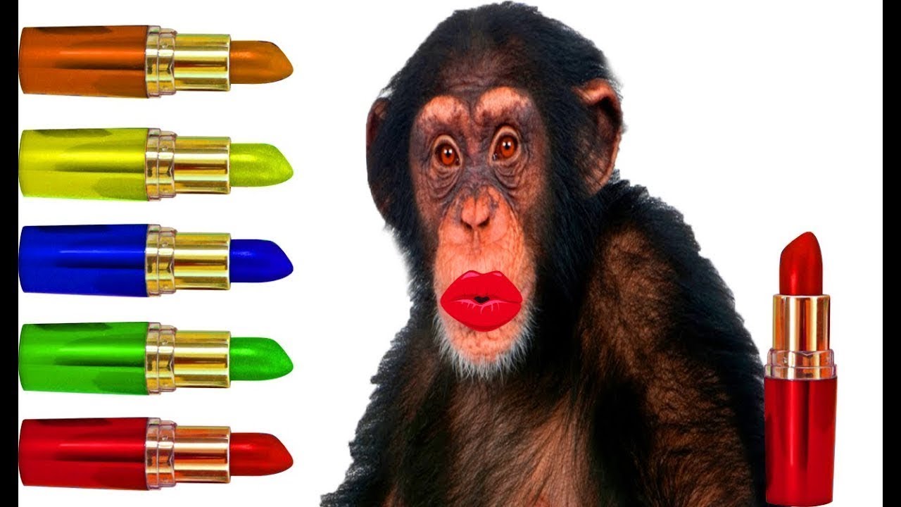 Learn colors with lipstick Monkey | Finger Family Songs nursery rhymes ...