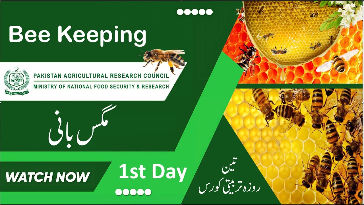 BEE KEEPING TRAINING 1st day 19 11 2024 - YouTube