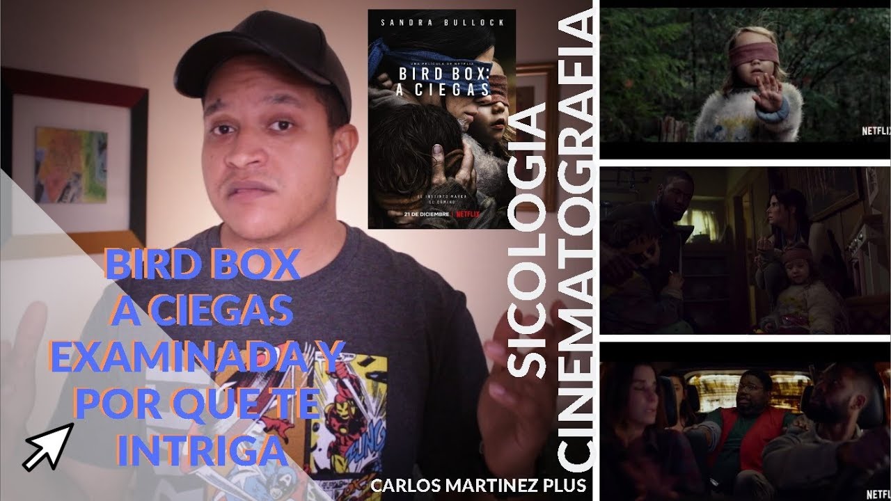 Bird Box A ciegas | Netflix critica | explicado | cinematografia - YouTube