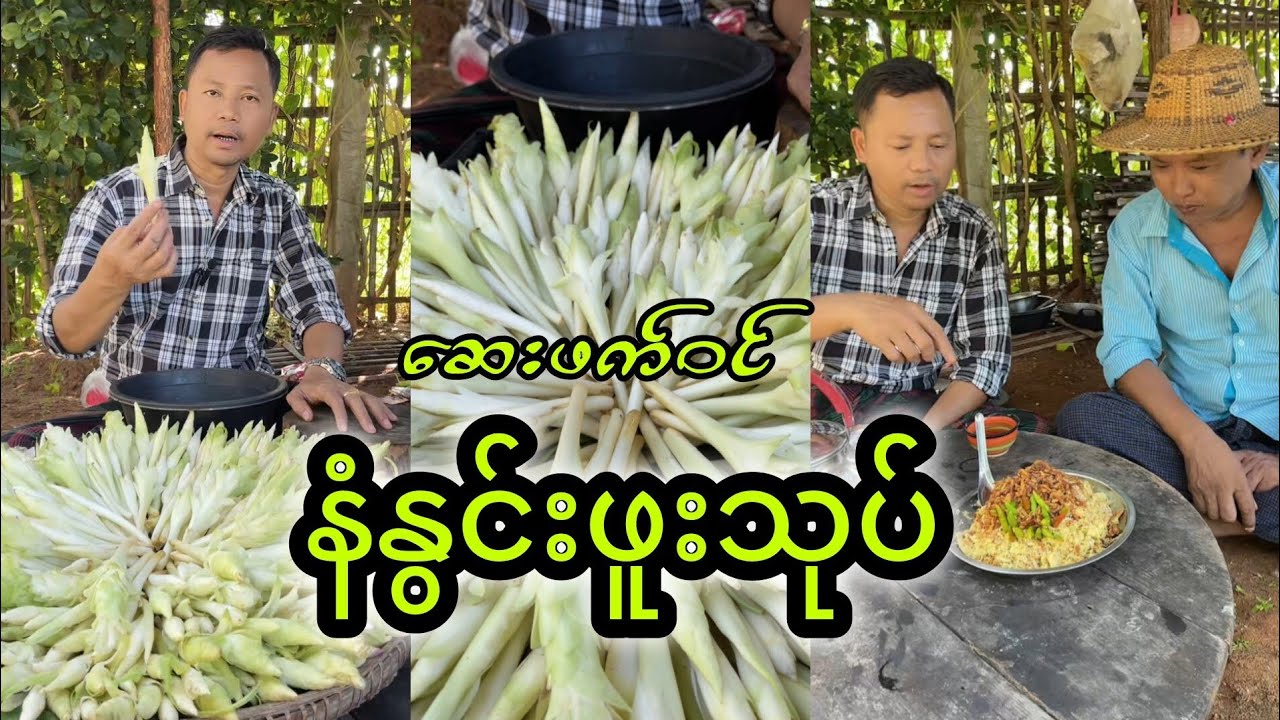 ဆေးဖက်ဝင် နနွင်းဖူးသုပ် ရှယ်ကောင်း Youtube