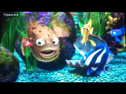 Finding Nemo Freeform Photos 