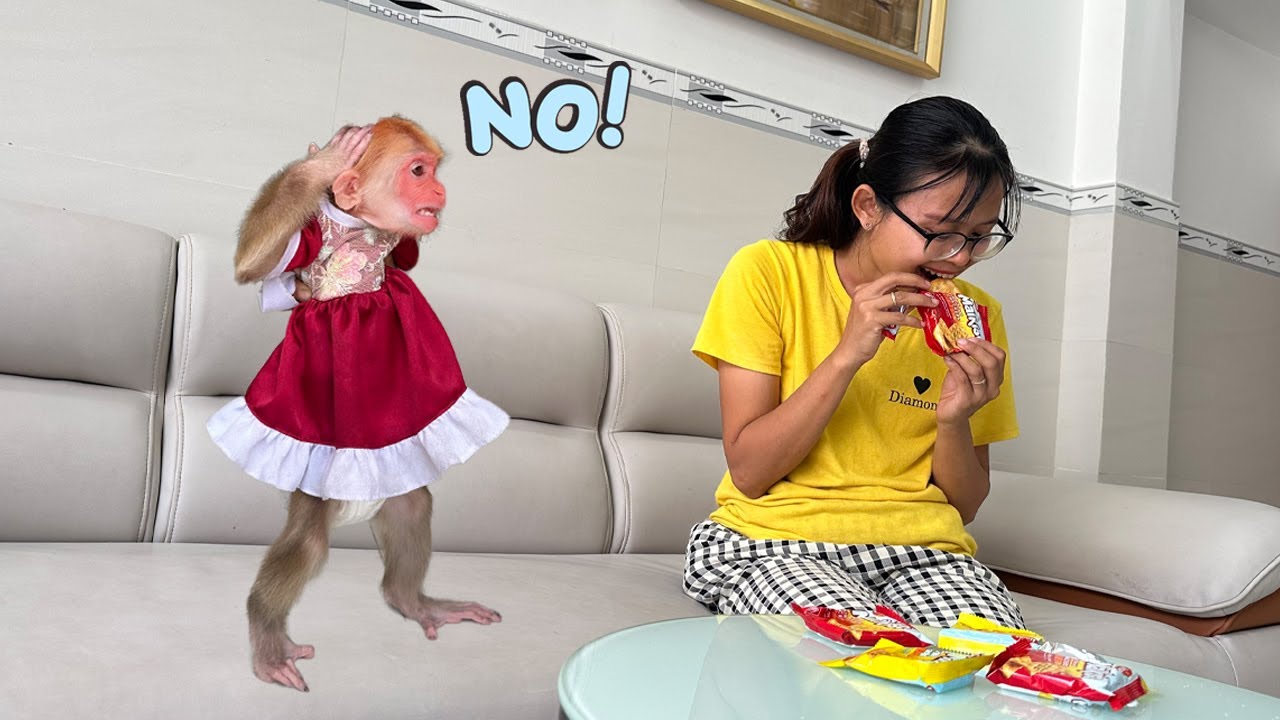 🔥 Lucky flew into a rage when he found out his mom was secretly EATING ...