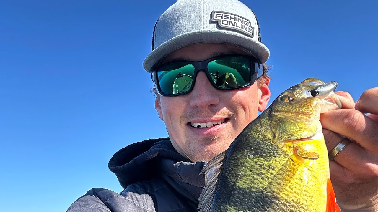 Pocono's JUMBO Yellow Perch Fishing! Tips, Tricks and Lures to Use ...