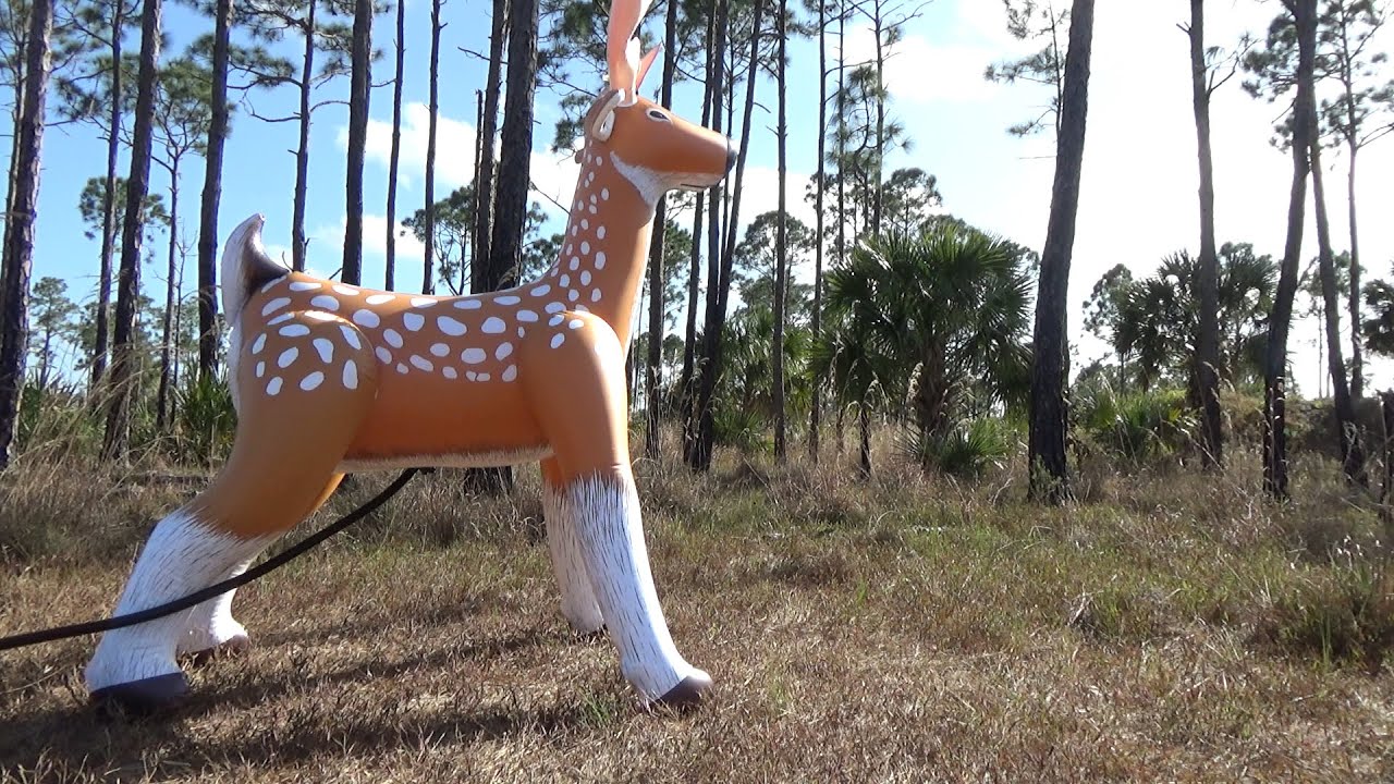 Inflatable Deer Toy from Jet Creations - YouTube