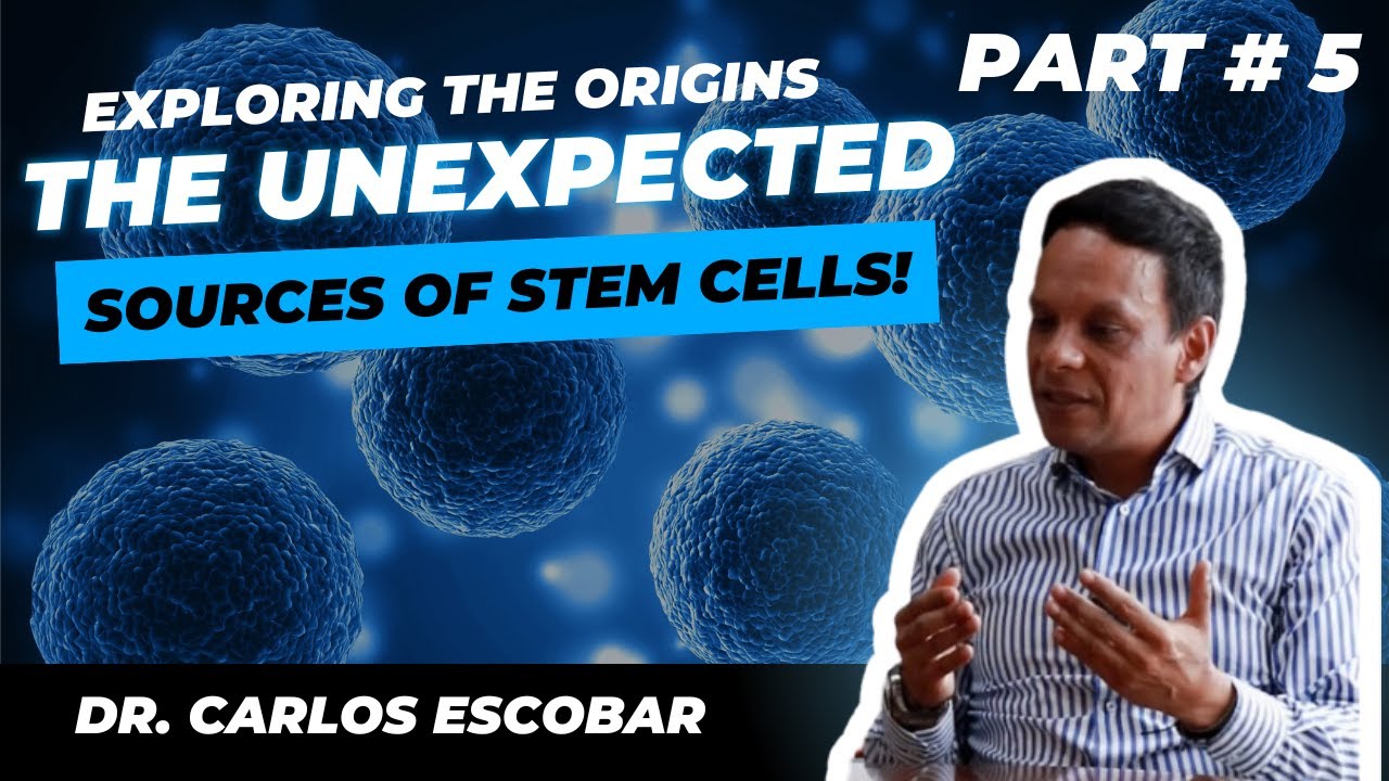 Exploring the Origins: The Unexpected Sources of Stem Cells! part 5 ...