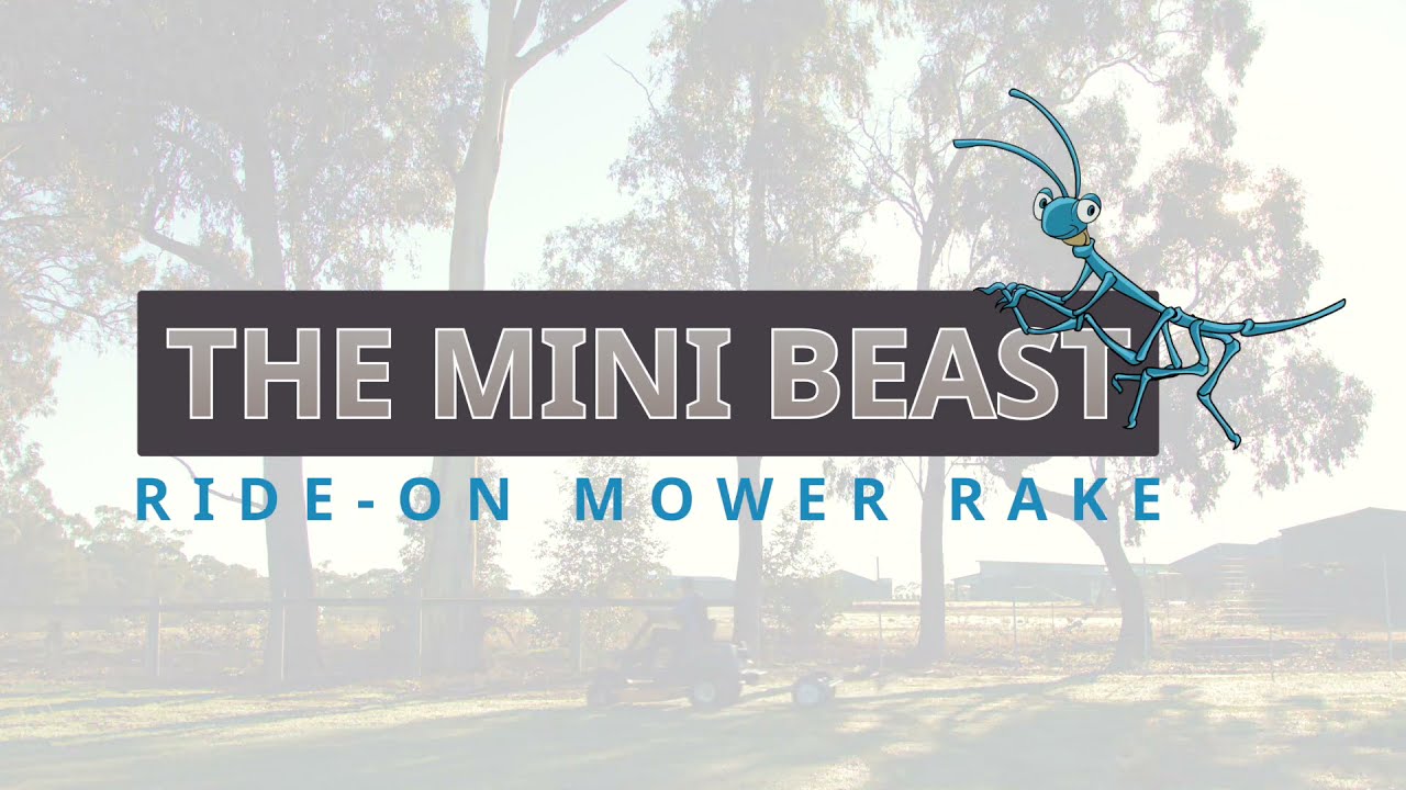 The Mini Beast By Dissy Machinery - Ride-on Mower Landscape Stick Rake ...