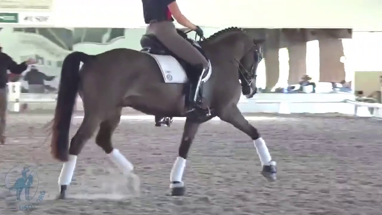 Riding the Serpentine - YouTube