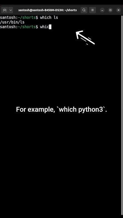 Learn Linux/Unix 'which' Command in 60 Seconds! | Linux/Unix Commands for Beginners - YouTube