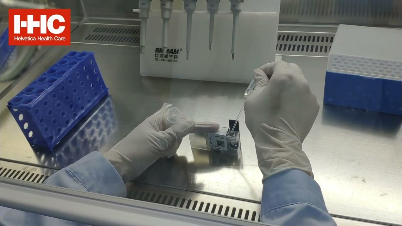 HHC FlashDx workflow - YouTube