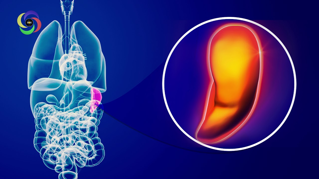 Spleen Healing Sound, Binaural Beat Frequency for a Healthy Spleen ...