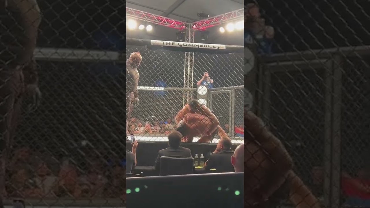 Armenian Olympic wrestler Migran Arutyunyan mixed martial arts fight ...