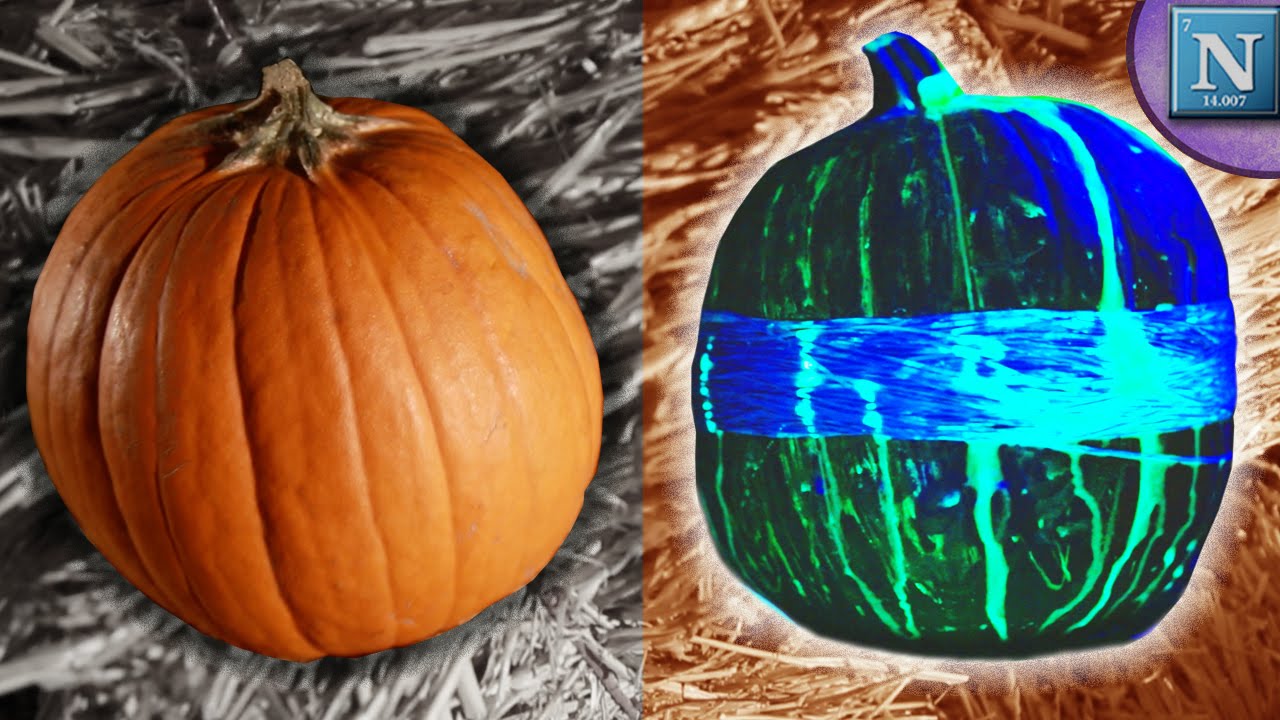 Pumpkin Rubber Band Roulette: How Blacklight's Work - YouTube