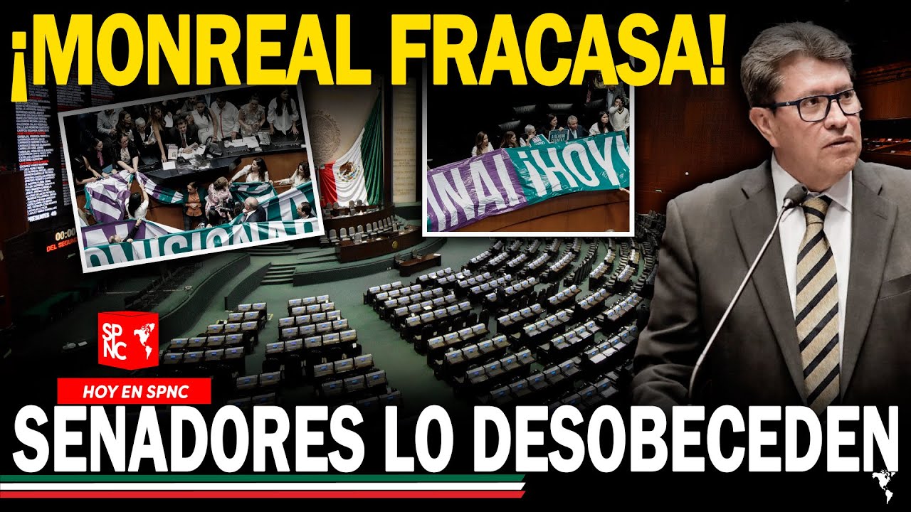 ¡Rotundo fracaso! Monry negocio pero Morena no lo respaldo: se acabo ...
