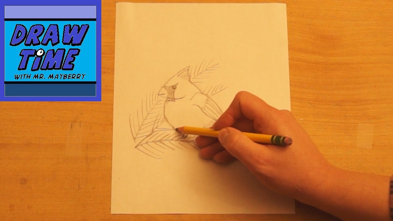 How to Draw a Cardinal - YouTube