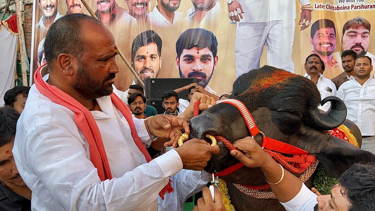 Chappal Bazar Laddu Yadav Sadar 2022 | Bull Bahubali Special Attraction ...