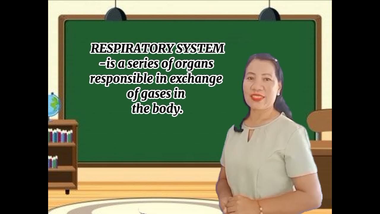 DEMO TEACHING/RESPIRATORY SYSTEM - YouTube