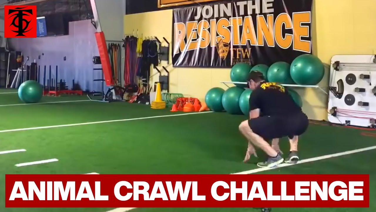 Animal Crawl Challenge - YouTube