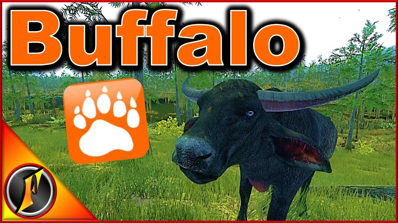 Chasing Buffalo | theHunter Classic 2018 - YouTube