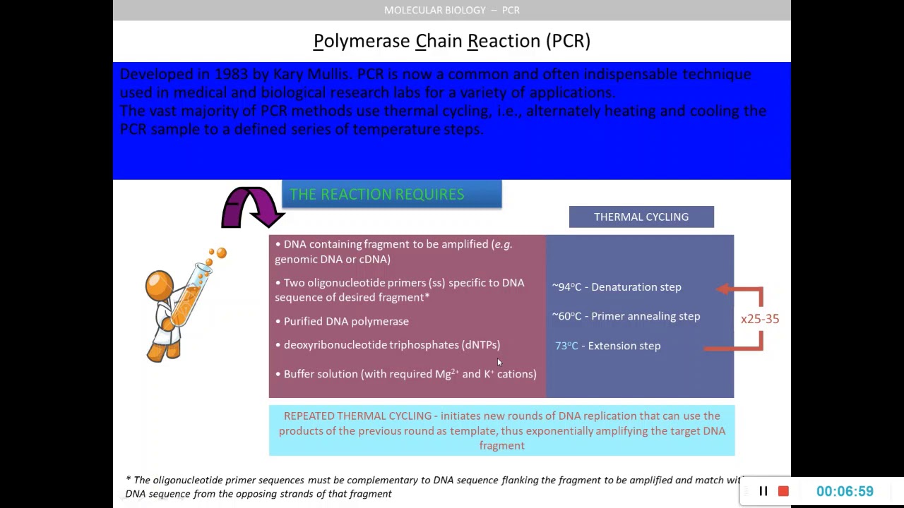 PCR detection of food pathogen - YouTube