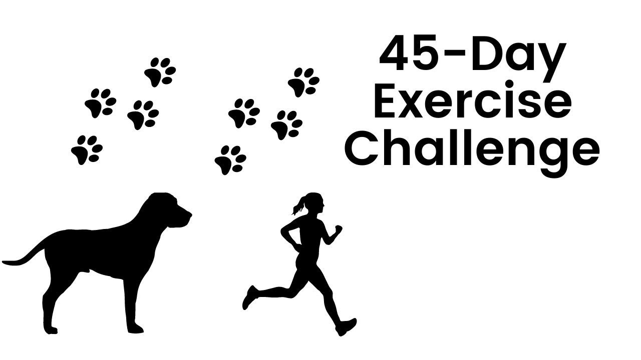 45 Day Challenge Pushing Chronic Illness Service Dog Exercise 45-day-challenge-pushing-chronic-illness-service-dog-exercise