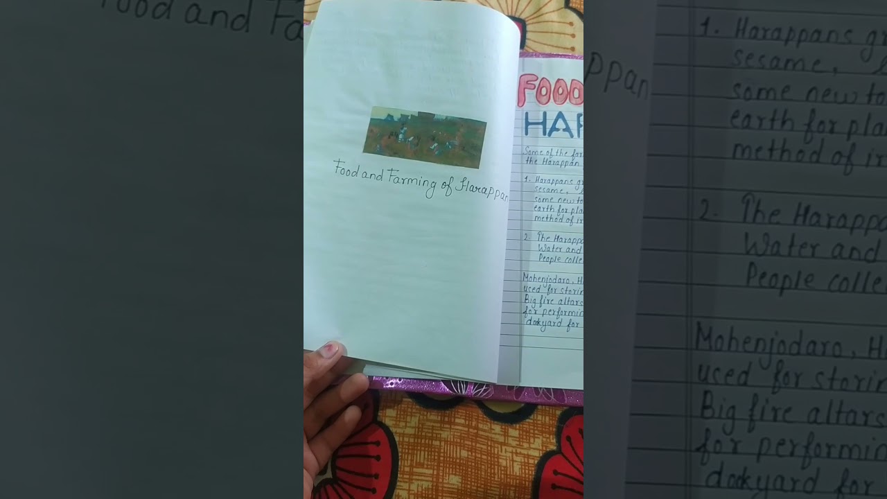 History Project of class 9 (Make comparative study of Harappan and ...