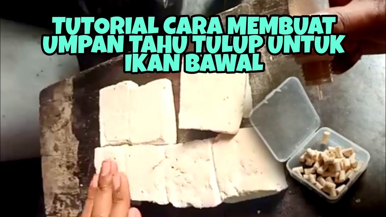 Tutorial Membuat Umpan Tahu Tulup Untuk Umpan Ikan Bawal - YouTube