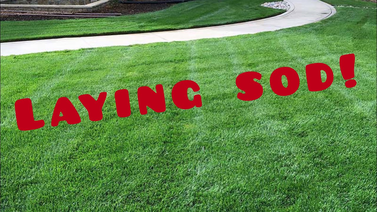 Small Sod job with irrigation install. - YouTube