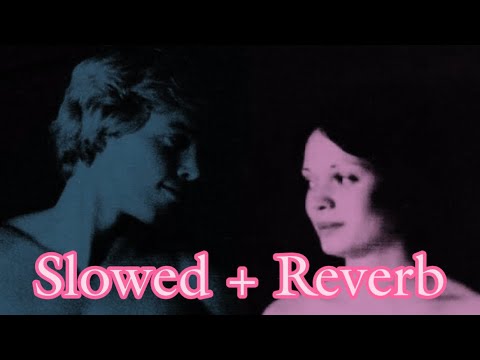 TV Girl - Not Allowed (Slowed + Reverb) - YouTube