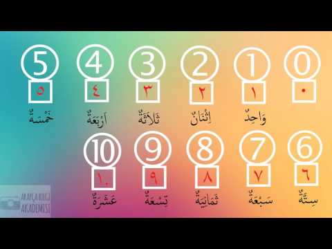 Arapça Sayılar, Arabic Number Song | الأغنية رقم عربية  |