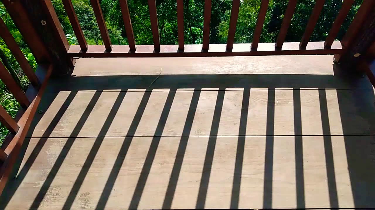 Panorama WISATA RANU BEDALI - Kab. Lumajang - YouTube