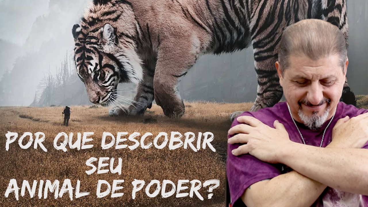 Porque DESCOBRIR seu Animal de Poder vai Transformar sua vida ...