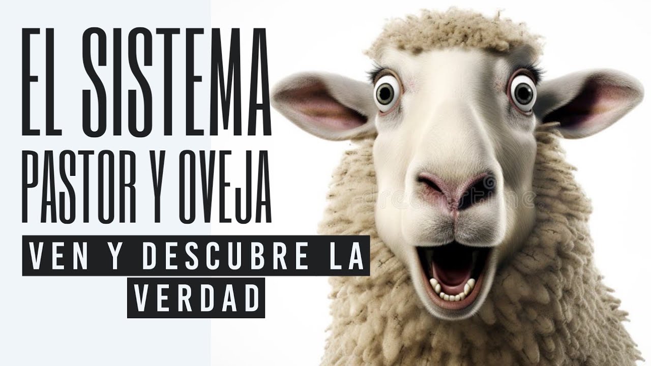 El Sistema Pastor y Oveja - YouTube