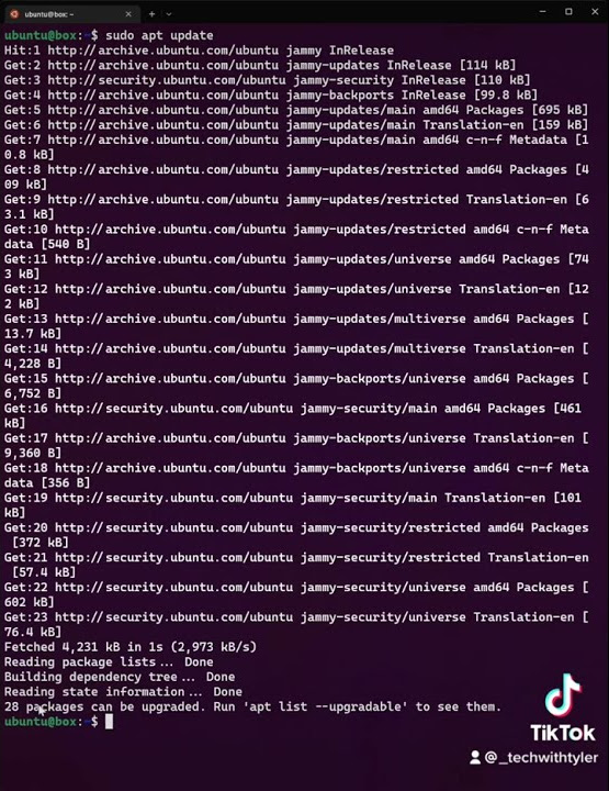 Learn Linux Commands in 60 Seconds! | sudo apt update & sudo apt upgrade #shorts - YouTube