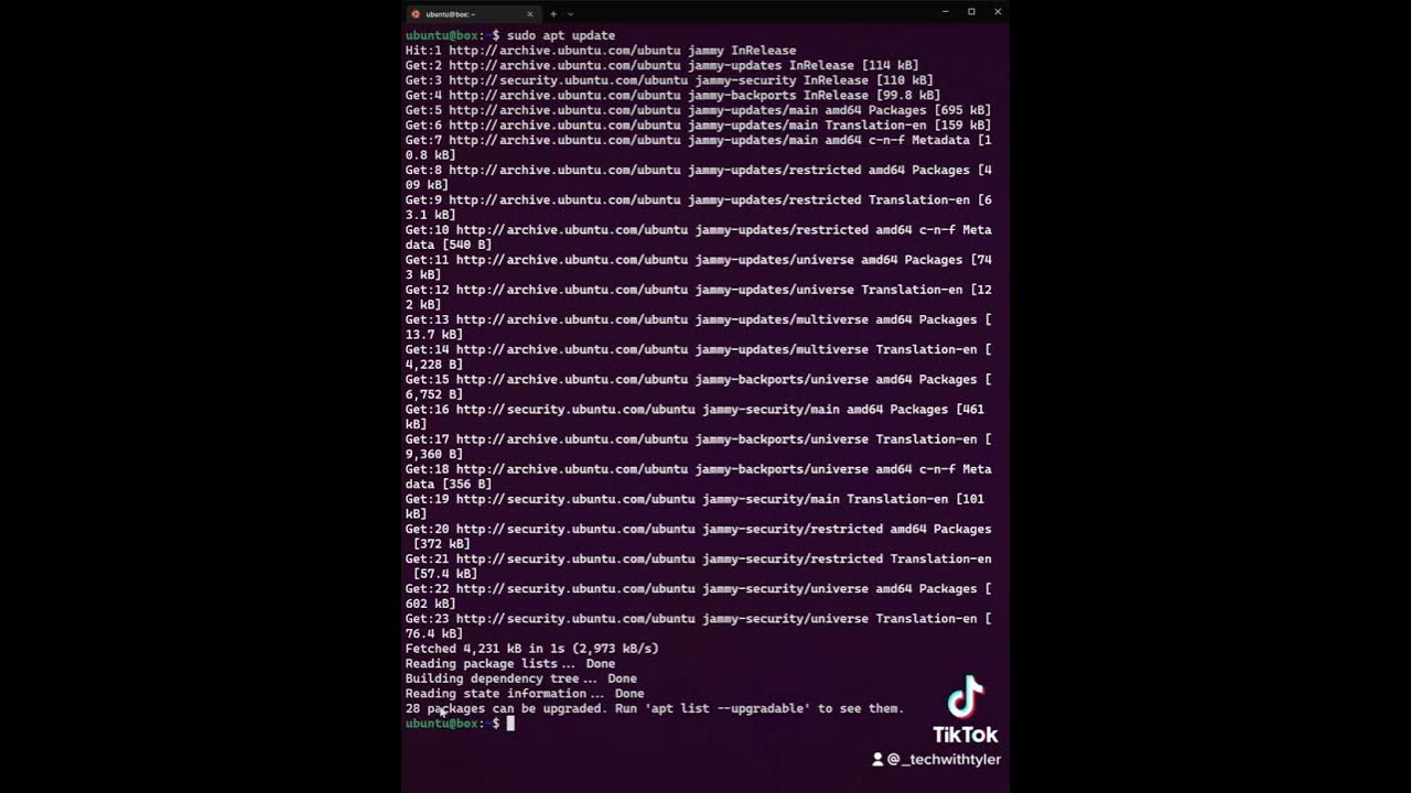Learn Linux Commands in 60 Seconds! | sudo apt update & sudo apt upgrade #shorts - YouTube