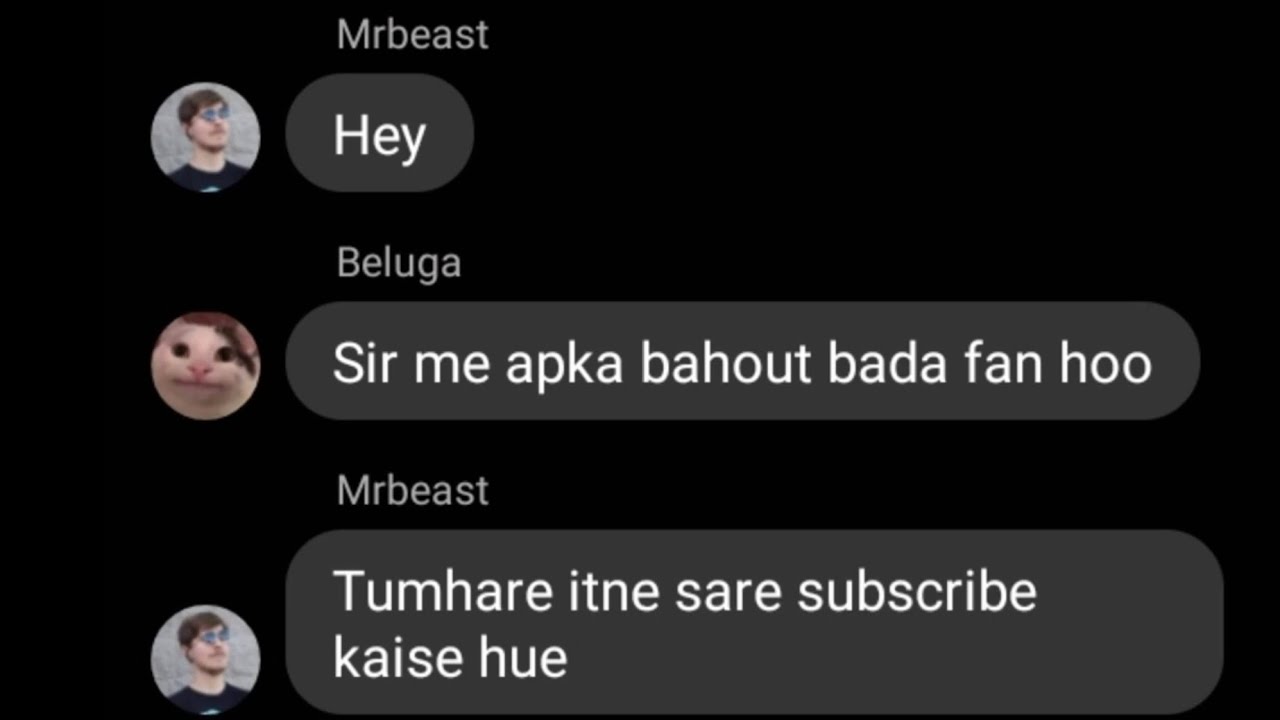 beluga talk to @MrBeast and @YouTube funny chatting - YouTube
