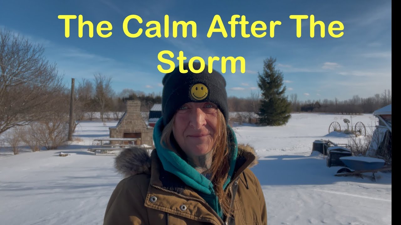 Survived Gale Force Winds // Winter Storm on the Homestead - YouTube