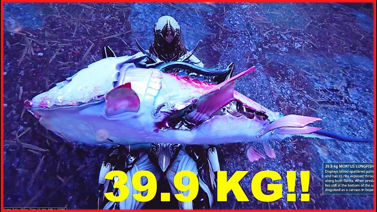 BIGGEST FISH CAUGHT IN EIDOLON? || Warframe Plains of Eidolon || - YouTube