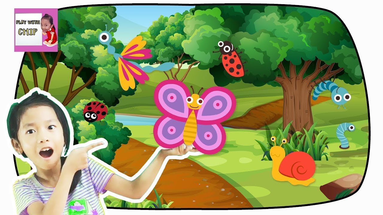 Insect for Kids Children - Insect Names Educational Video for Kids and ...